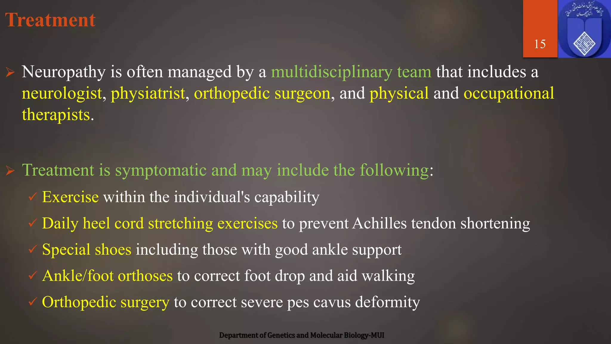 Mfn2 hereditary motor and sensory neuropathy | PPT