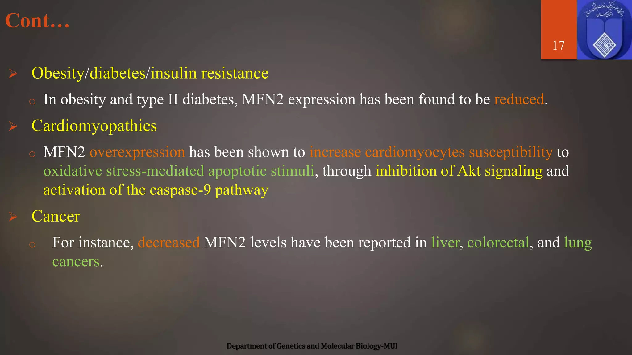 Mfn2 hereditary motor and sensory neuropathy | PPT