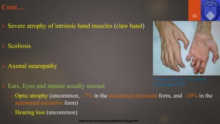 Mfn2 hereditary motor and sensory neuropathy | PPT