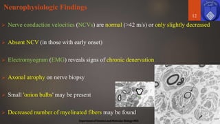 Mfn2 hereditary motor and sensory neuropathy | PPT