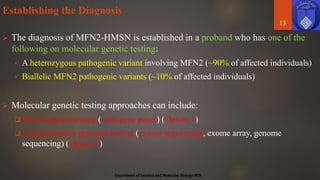 Mfn2 hereditary motor and sensory neuropathy | PPTX