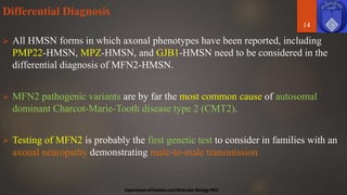 Mfn2 hereditary motor and sensory neuropathy | PPT
