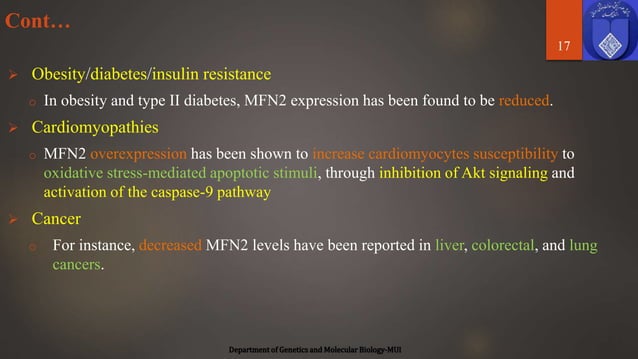 Mfn2 hereditary motor and sensory neuropathy | PPT