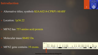 Mfn2 hereditary motor and sensory neuropathy | PPT
