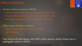 Mfn2 hereditary motor and sensory neuropathy | PPT