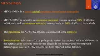 Mfn2 hereditary motor and sensory neuropathy | PPT