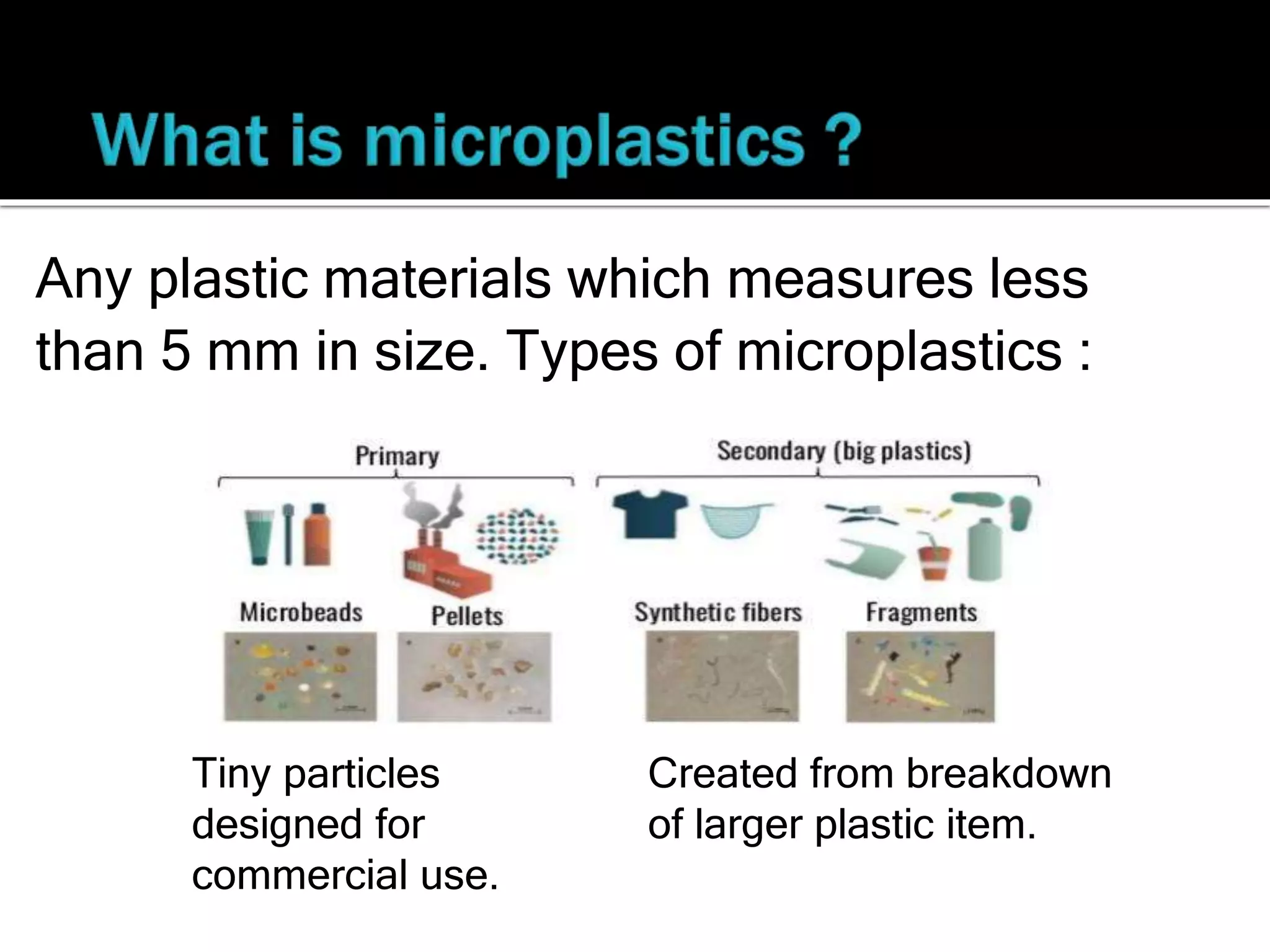 Trophic Transfer of Microplastics and Mixed Contaminants in the Marine ...