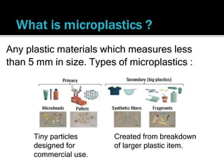Trophic Transfer of Microplastics and Mixed Contaminants in the Marine ...