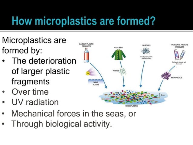Trophic Transfer of Microplastics and Mixed Contaminants in the Marine ...