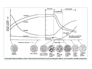 Introduction to Metal Forming Processes – A detailed exploration of key metal forming techniques ...