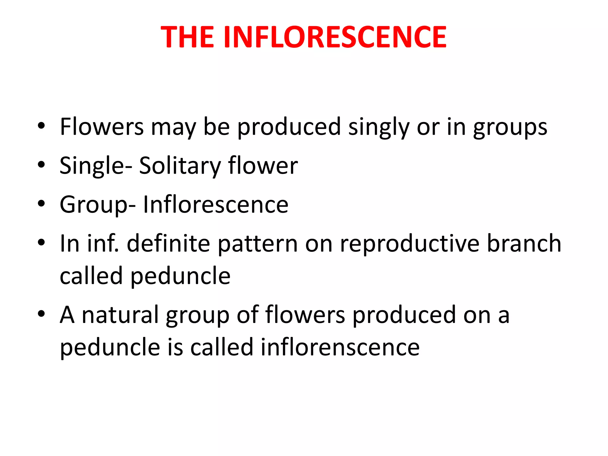 morphology of flowering plants- Flower | PPTX