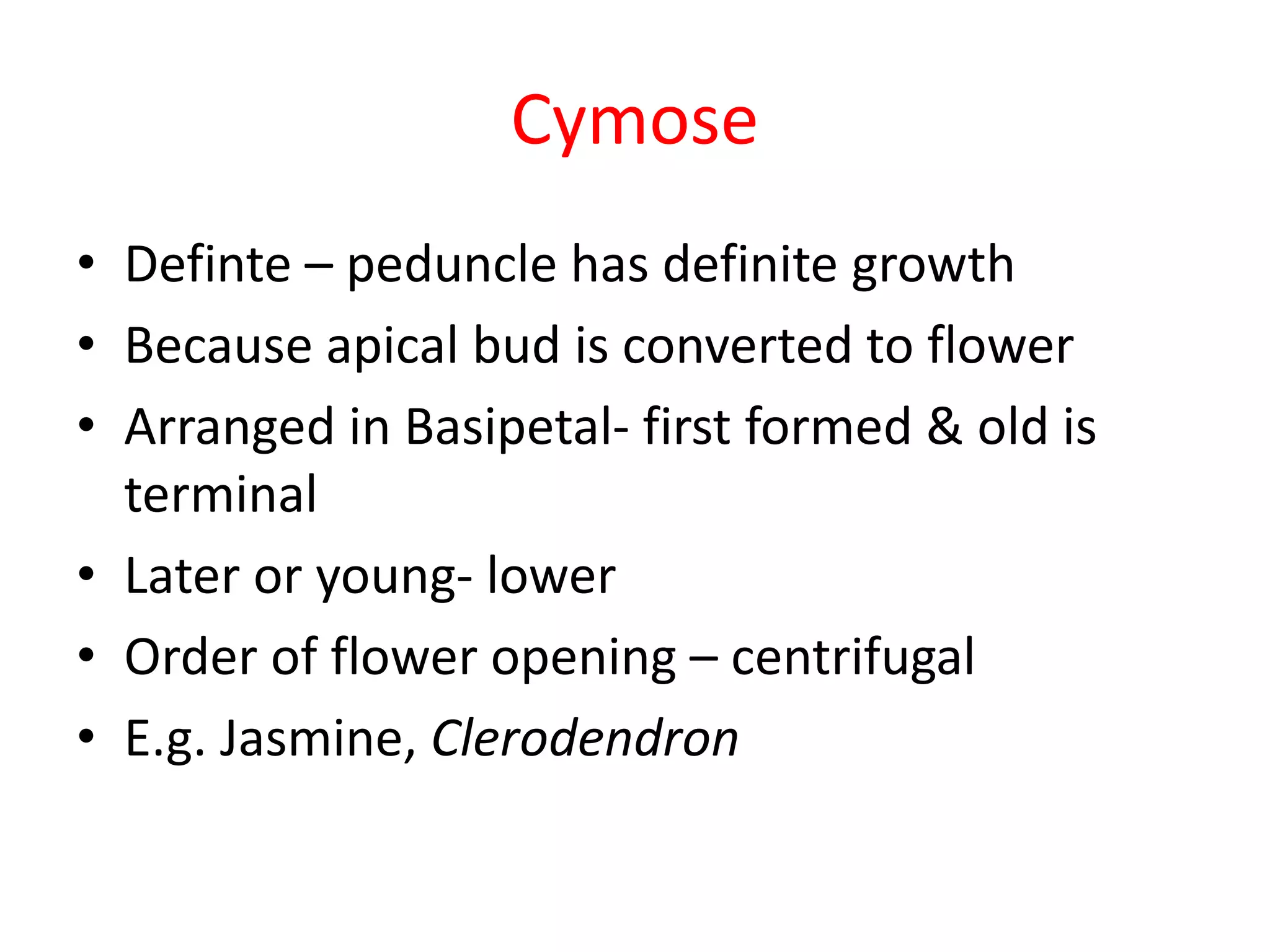 morphology of flowering plants- Flower | PPTX