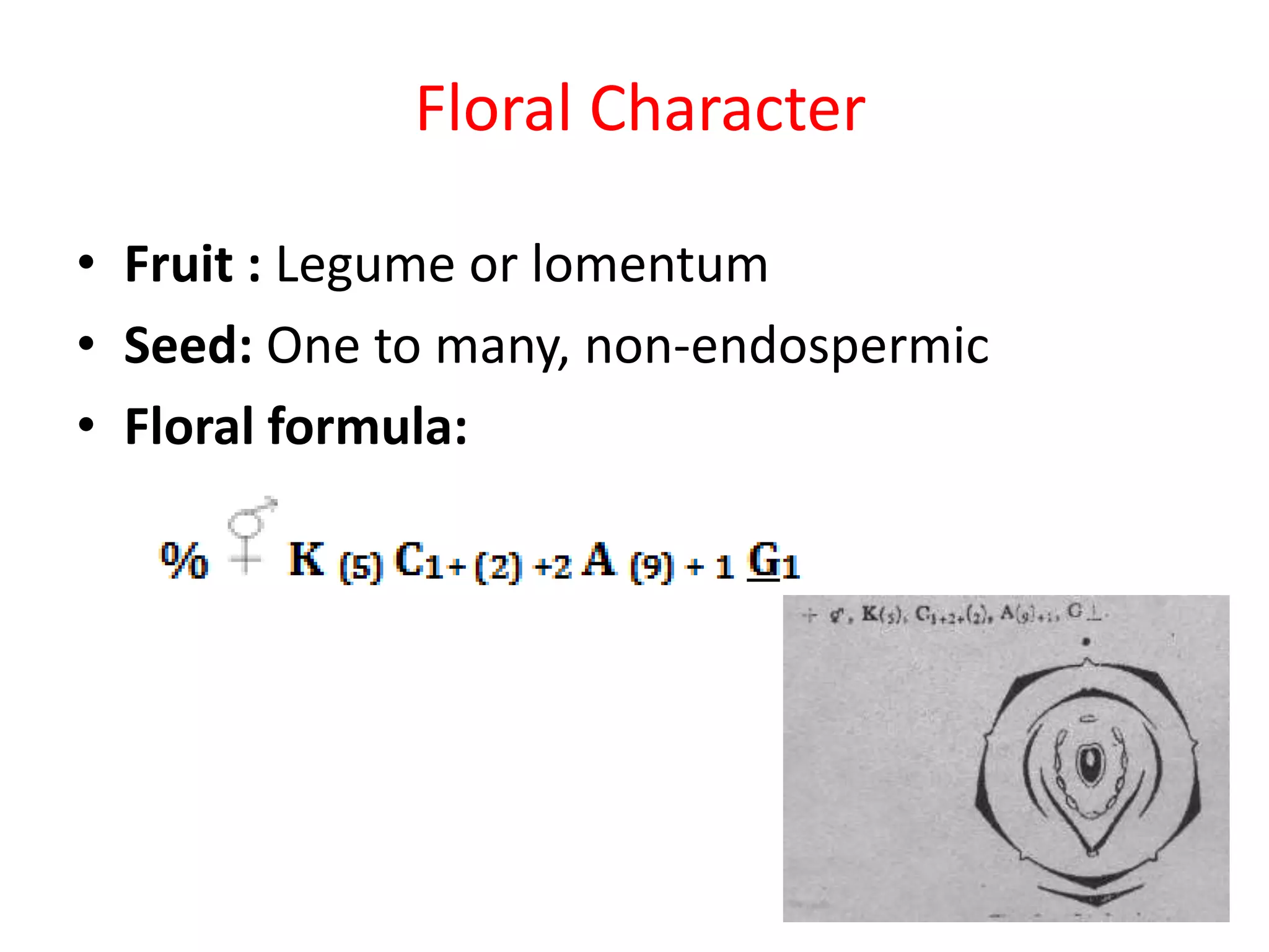 Floral Formula Class 11 Biology | PPTX