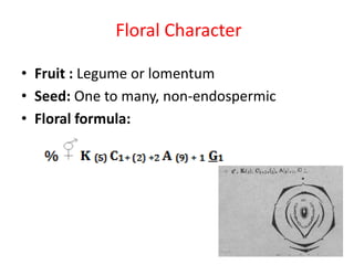 Floral Formula Class 11 Biology | PPTX