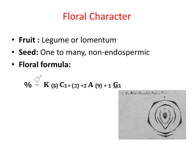 Floral Formula Class 11 Biology | PPTX
