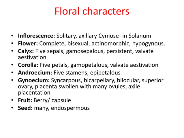 Floral Formula Class 11 Biology | PPTX