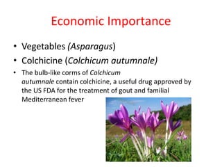 Floral Formula Class 11 Biology | PPTX