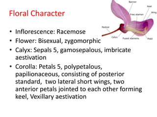 Floral Formula Class 11 Biology | PPTX