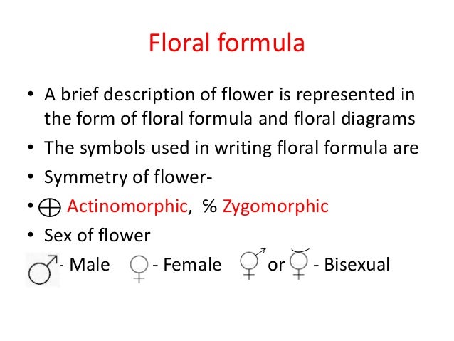 Floral Formula Class 11 Biology Floral Formula Class 11 Biology