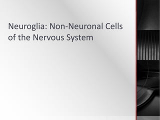 Neuroglia | PPTX