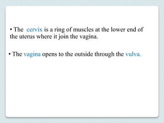 lesson 4.2 Human Reproduction | PPT