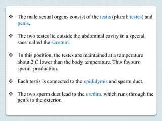 lesson 4.2 Human Reproduction | PPT | Infertility | Reproductive Health