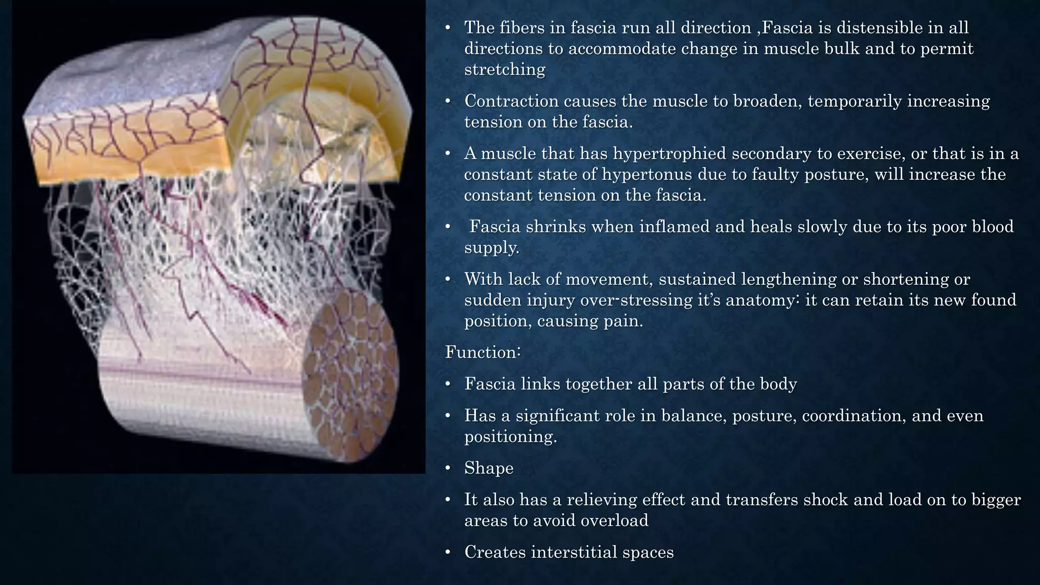 Myofascial release PPT | PPTX