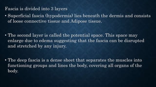 Myofascial release PPT | PPTX