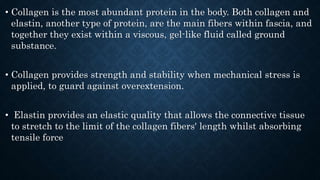 Myofascial release PPT | PPTX