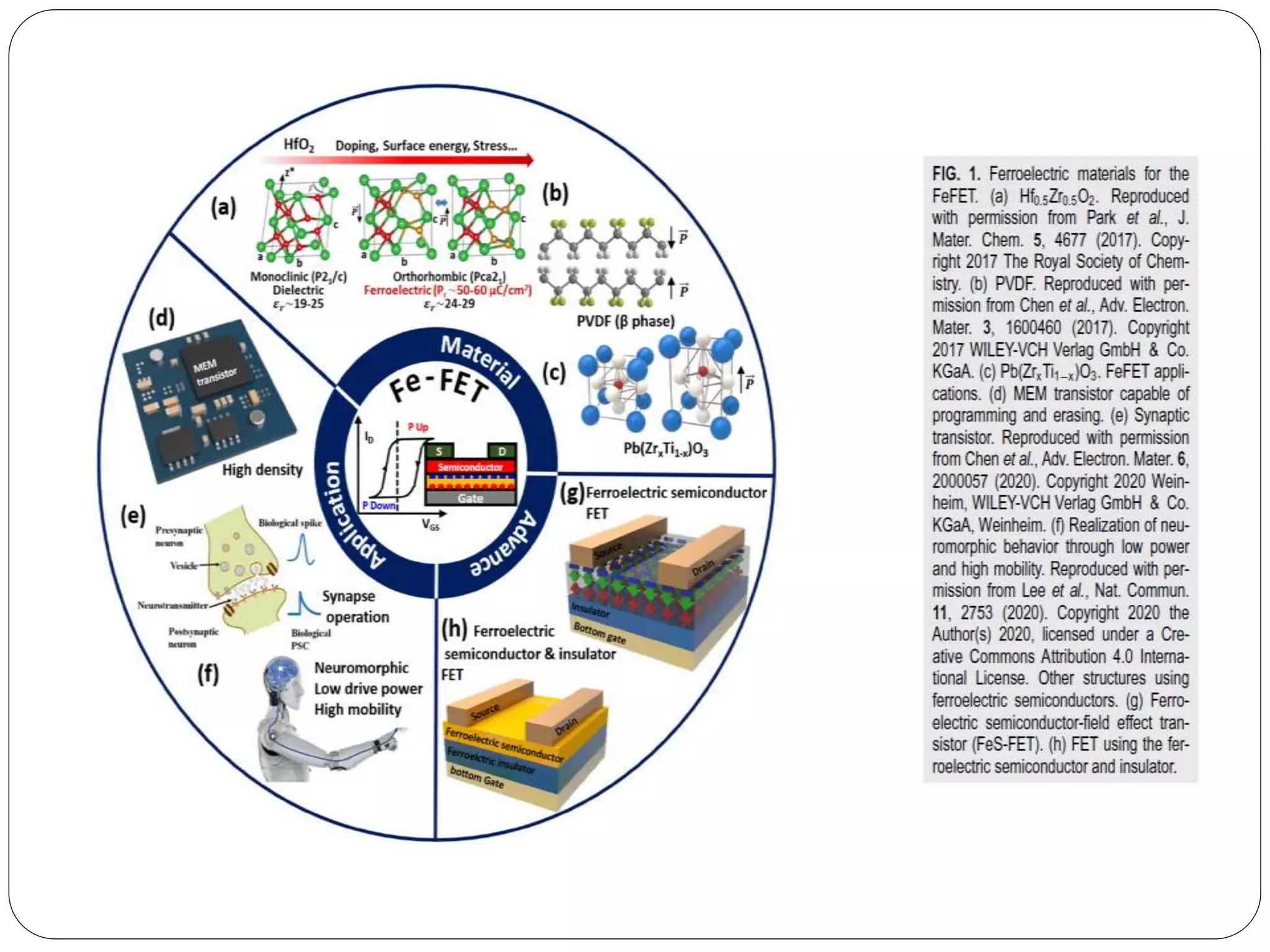 Mfsfet Metal Ferroelectric Semiconductor Field Effect Transistor Pptx
