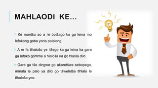 MFSPSA3 - TLHAGISO ya MAHLAODI - DIKATHUTO.pptx