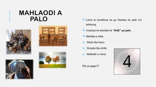 MFSPSA3 - TLHAGISO ya MAHLAODI - DIKATHUTO.pptx