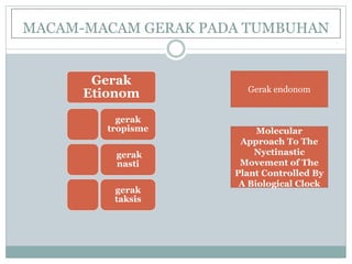 10.Gerak_Pada_Tumbuhan_(Kelompok_6).pptx