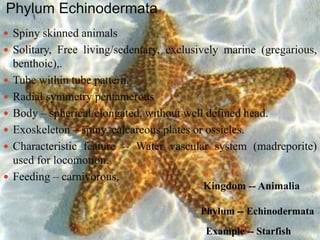 Chapter_4_Kingdom_Animalia.pptx