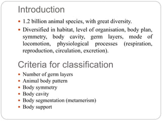 Chapter_4_Kingdom_Animalia.pptx