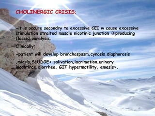 M G | PPT | Physical Therapy | Wellness