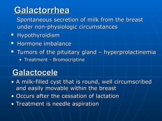 Mortal engines : Dawn of the dead 2024-25 | PPTX