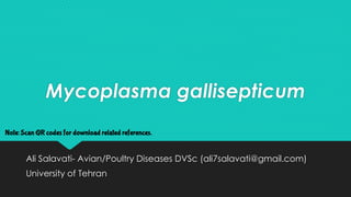 Mycoplasma gallisepticum- Ali Salavati | PDF