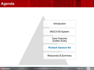 MG3130 gesture recognition kit | PPT