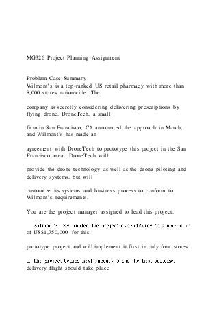 MG326 Project Planning Assignment Problem Case Summary | PDF