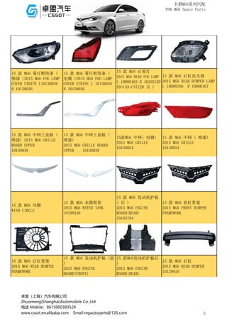 SAIC Mg6 catalog | PDF