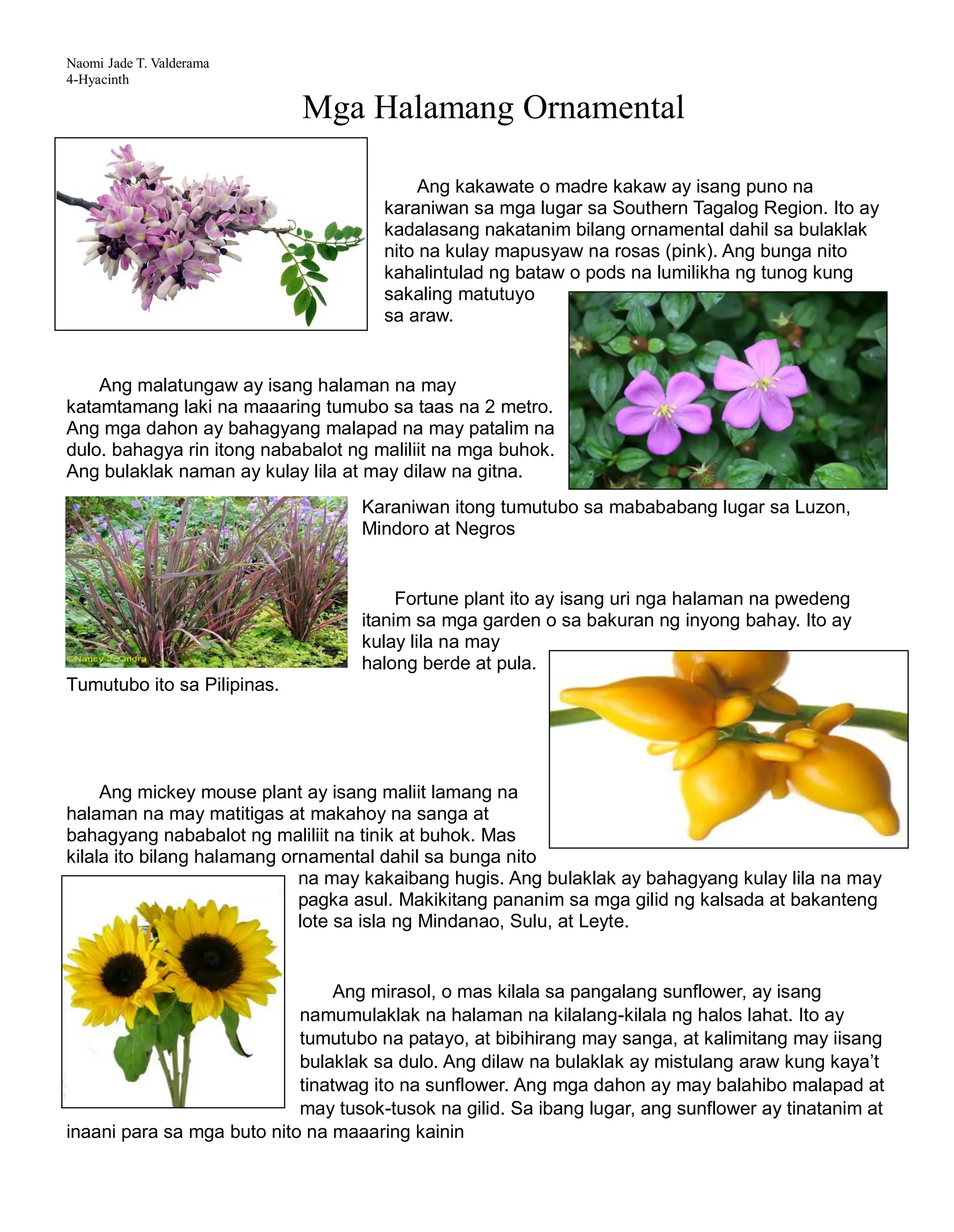 Mga-Halamang-Ornamental.pdf