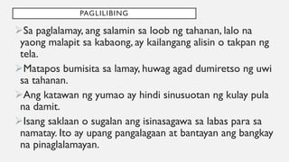MGA-KAUGALIAN-AT-TRADISYON-NA-NAMANA-SA-KASTILA.pdf
