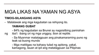 MGA-LIKAS-NA-YAMAN-NG-ASYA.pptx