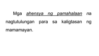 Mga Ahensiya ng Pamahalaan | PPTX