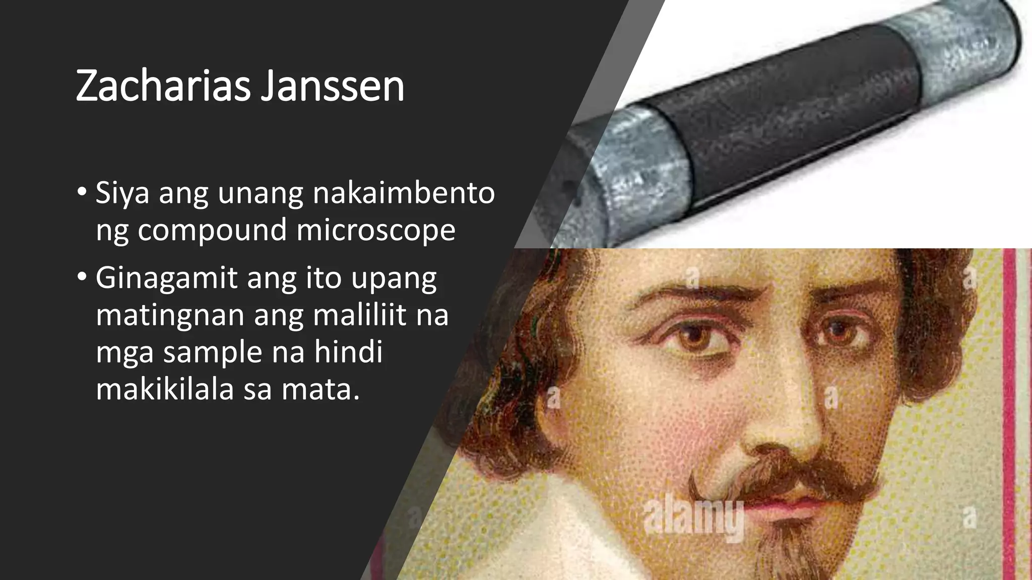 Mga Ambag ng Renaissance sa Iba’t ibang Larangan.pptx