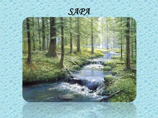 Mga anyong tubig | PPT