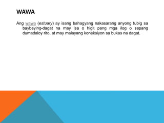 Mga anyong tubig | PPTX