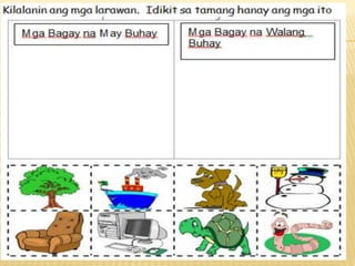 mga bagay na may buhay at walang buhay.pptx
