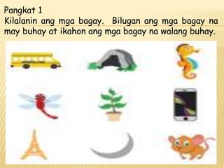 mga bagay na may buhay at walang buhay.pptx